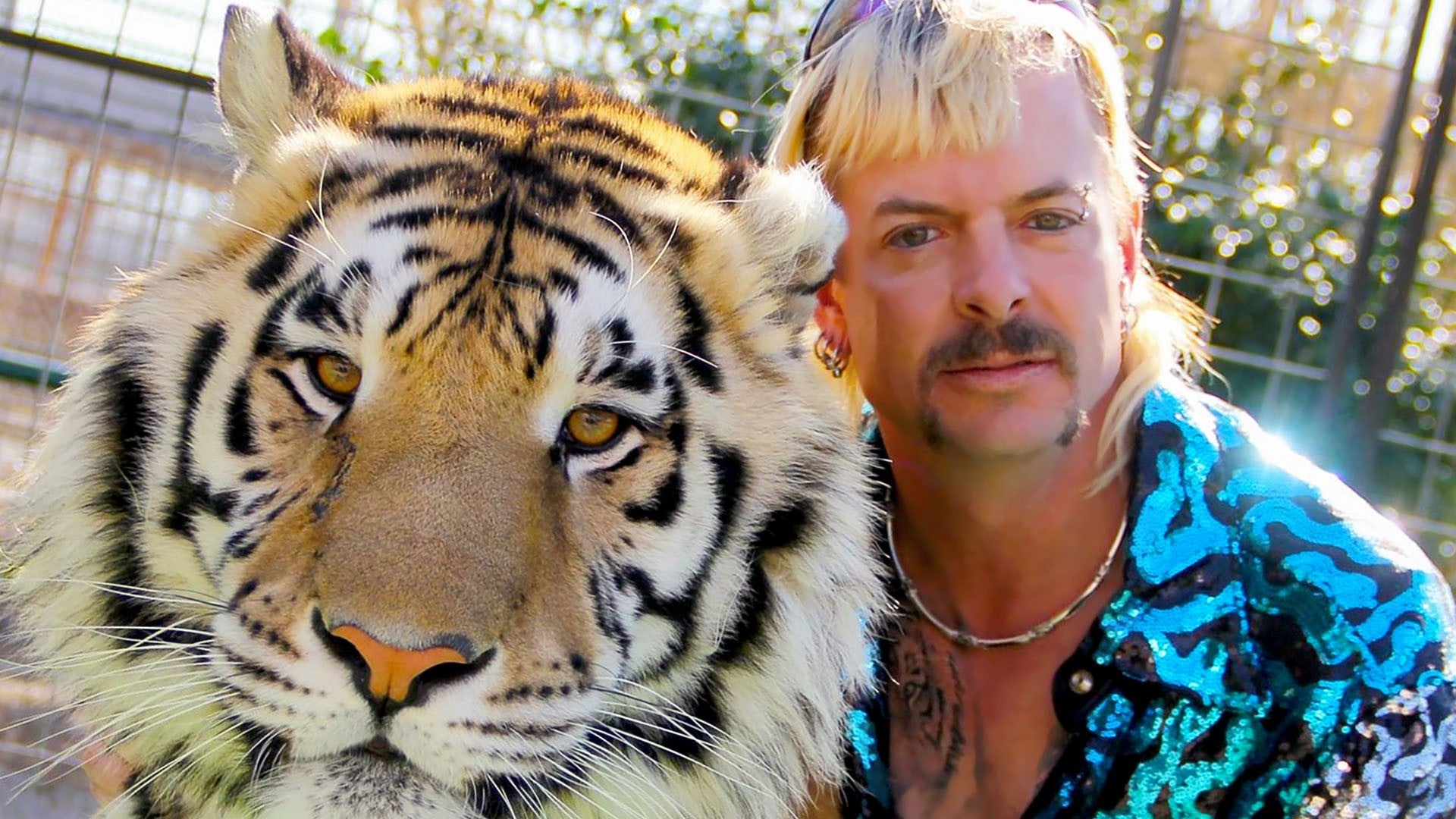 Tiger King – Why Is The Documentary Creating A Stir?