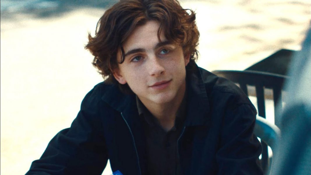 Timothee Chalamet: Personal Life, Career and More.