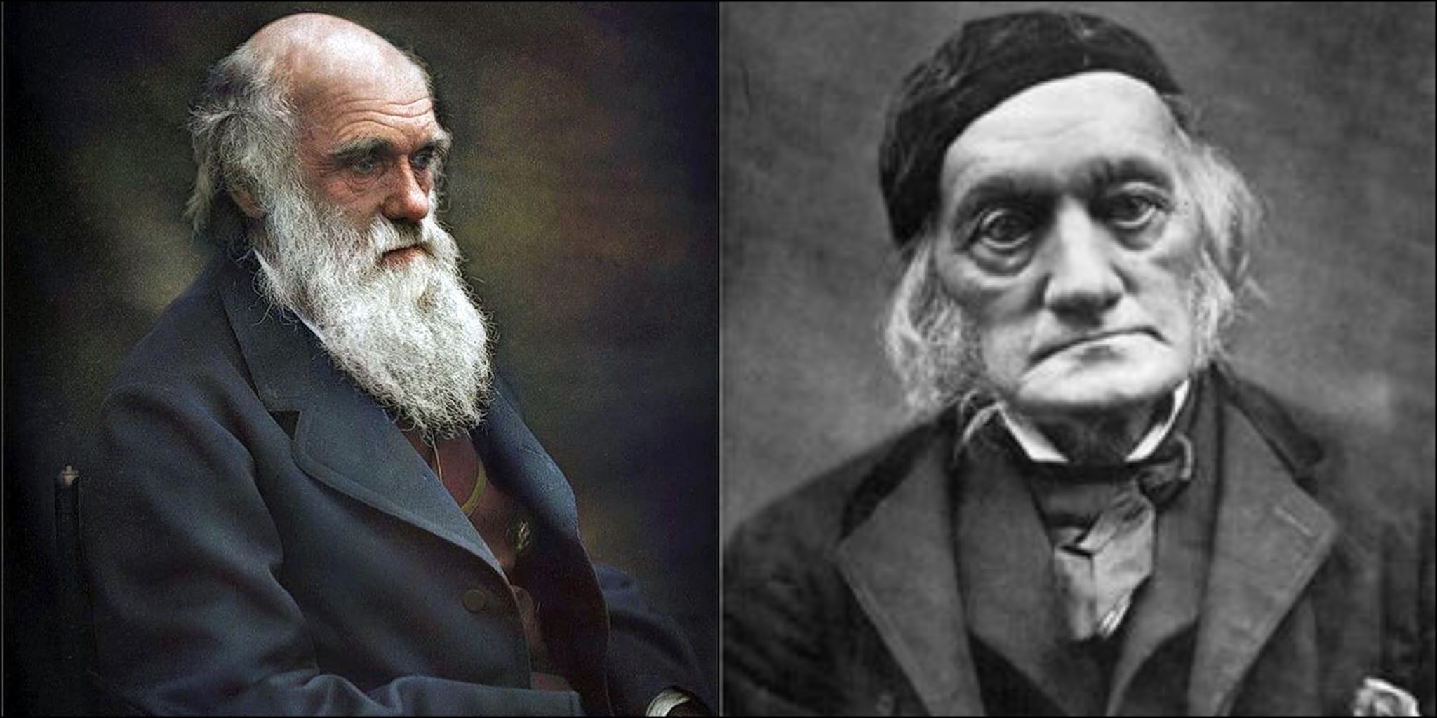 Greatest Feuds in Scientific Community that Changed the World
