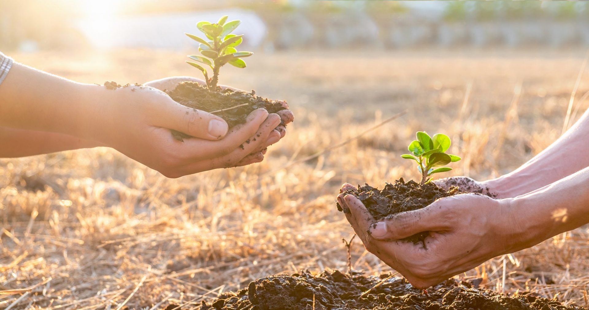 Green Delhi Fellowship programme