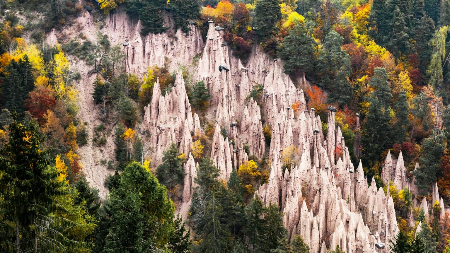 The significance of the Ecological Pyramids in Ecosystems