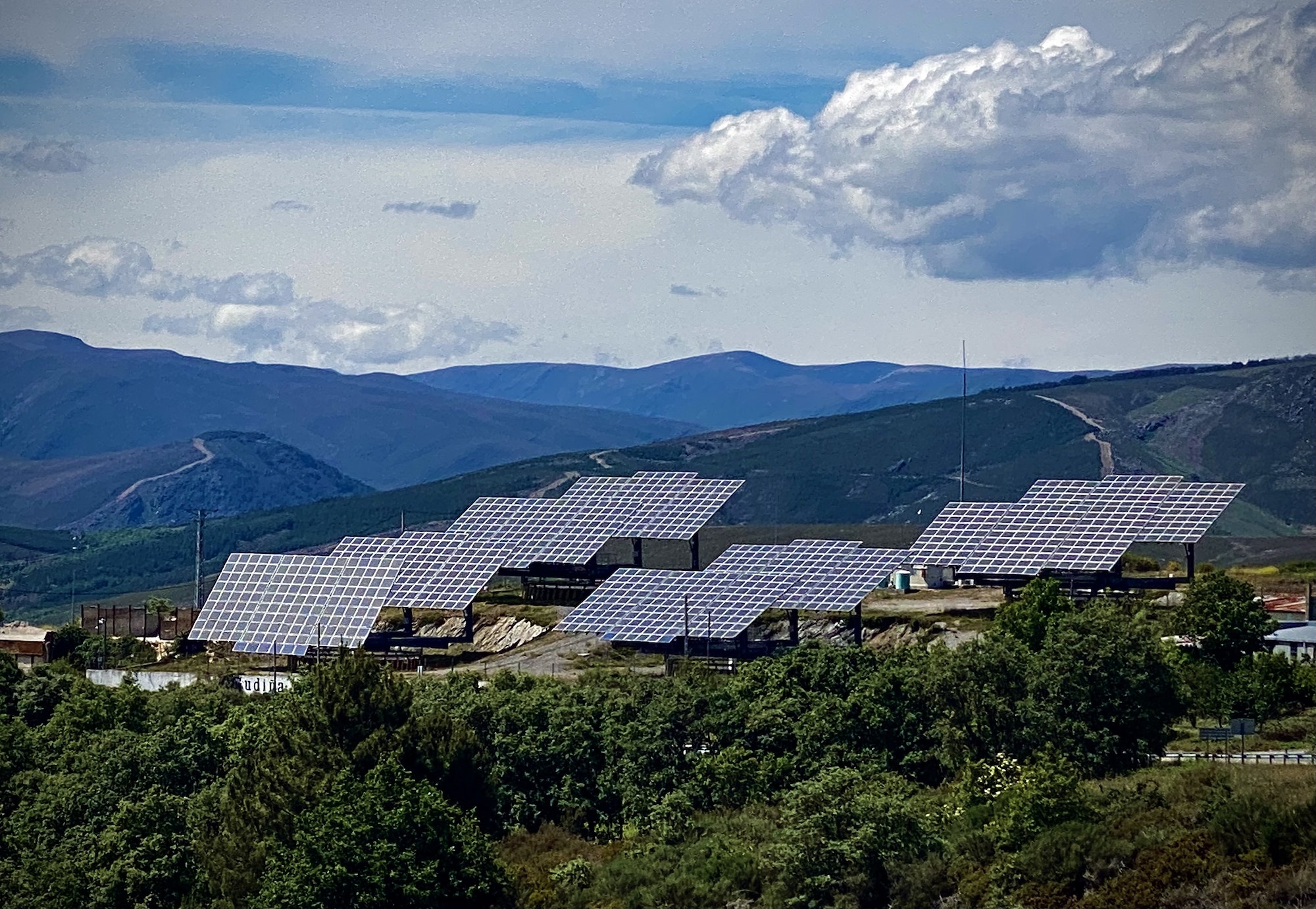 Go Green and Save the Environment