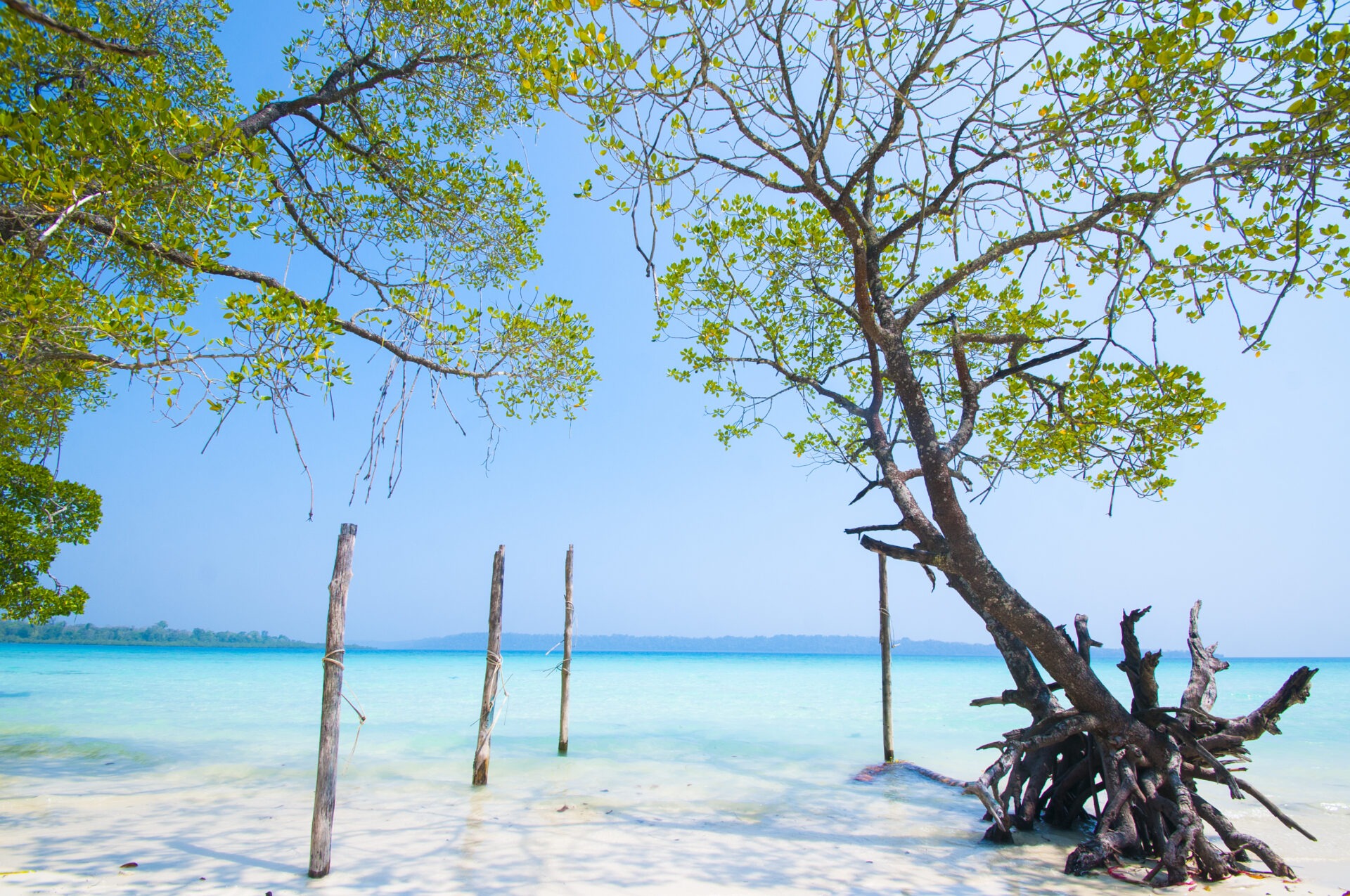 Havelock Vs Havelock Island: All You Need To Know!